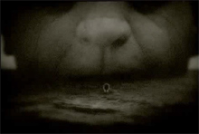 rorriM kcalB - yewknee.com