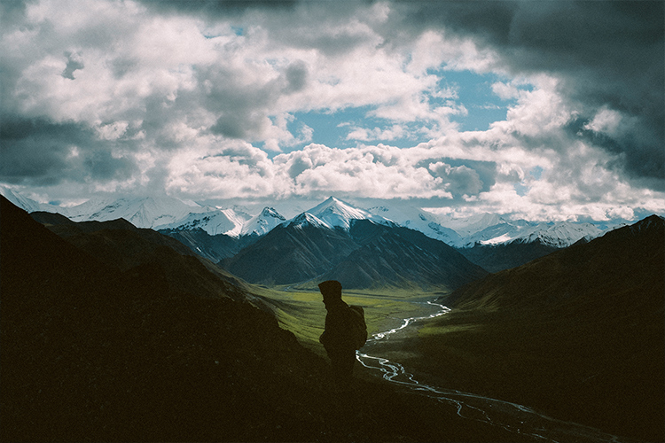 Randy Martin - yewknee.com