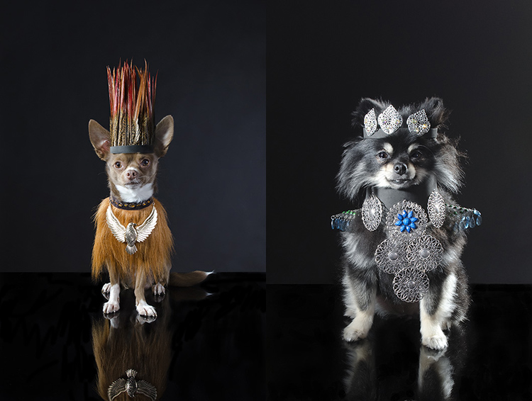 Sophie Gamand Photography - yewknee.com